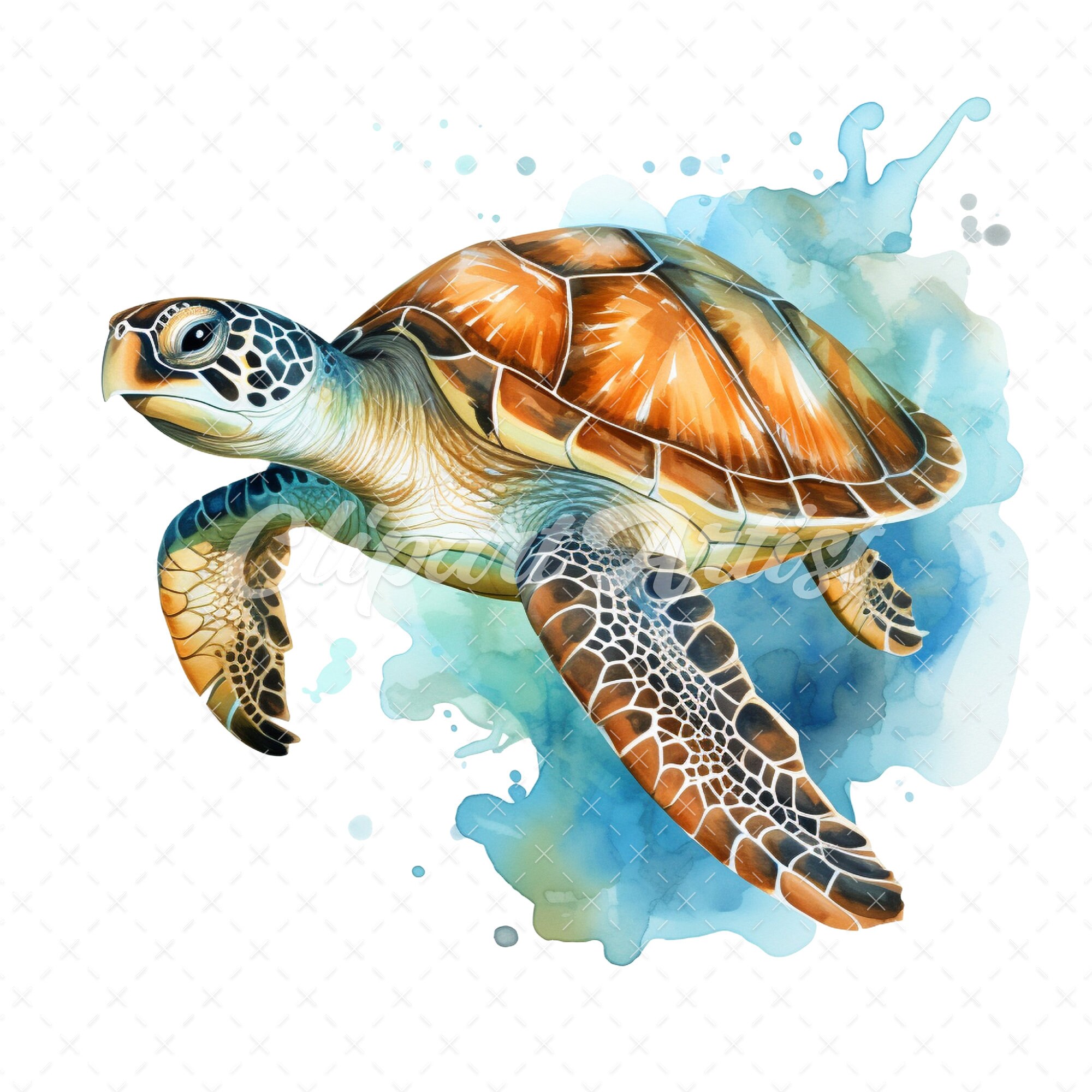 28 High-quality Turtle Clipart - Turtle Digital Watercolor JPG Instant ...