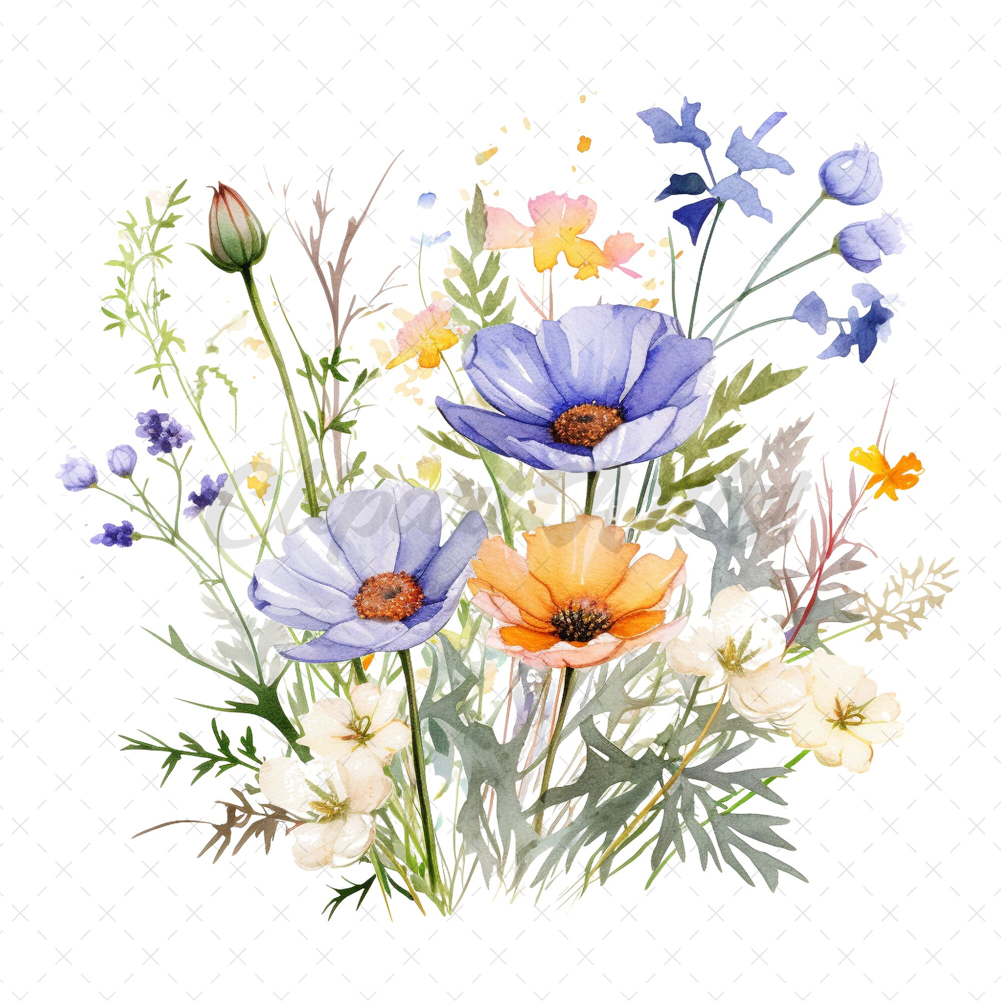 20 High-quality Meadow Flowers Clipart Meadow Flowers Digital ...