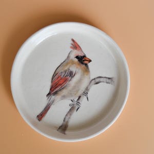 Set of 2 Stoneware Mini Cardinal Wall Plates, Hand-painted Bird Design ...