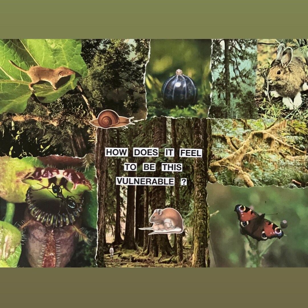 Vulnerability Collage Art Print - Etsy