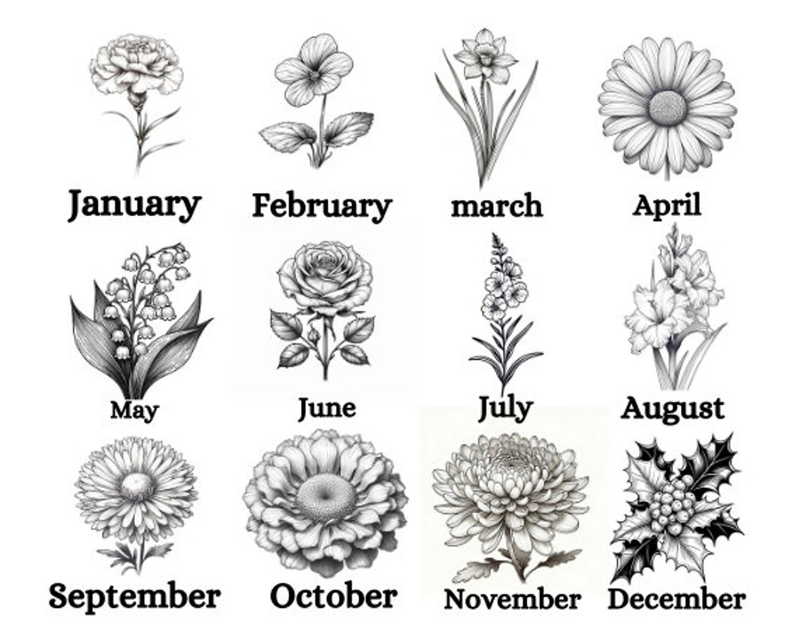 Birth Month Flower Coloring Pages, Birth Month Flowers, All Birth Month ...