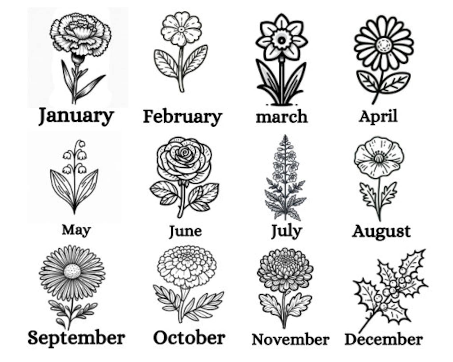 Birth Month Flower Coloring Pages, Birth Month Flowers, All Birth Month ...