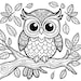 5 Owl Coloring Page, Whimsical Owl, Owl Art, Animal Coloring, Fantasy ...