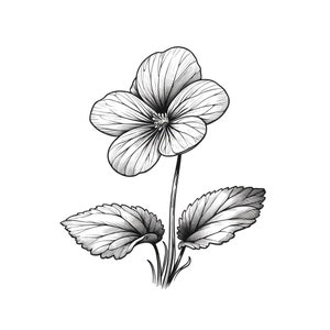 Birth Month Flower Coloring Pages, Birth Month Flowers, All Birth Month ...