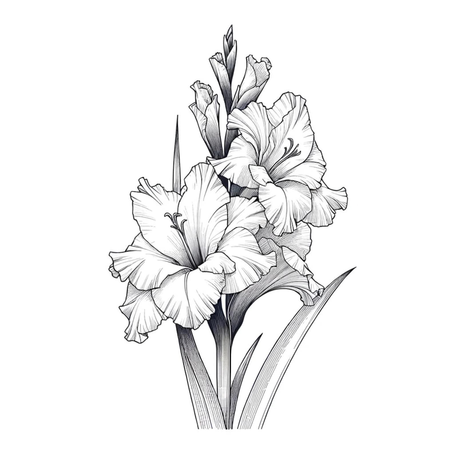 Birth Month Flower Coloring Pages, Birth Month Flowers, All Birth Month ...