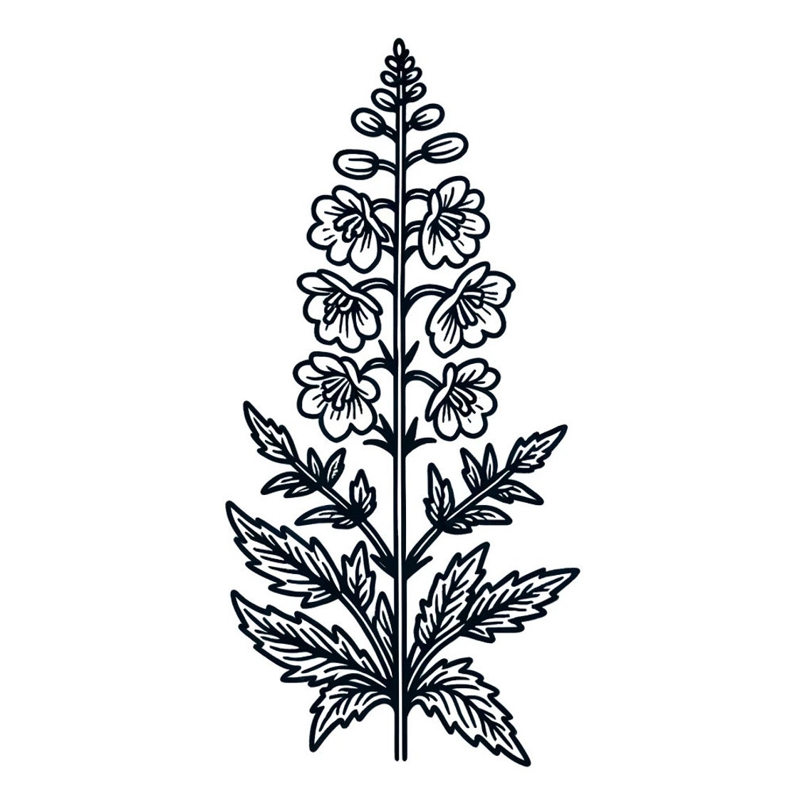 Birth Month Flower Coloring Pages, Birth Month Flowers, All Birth Month ...