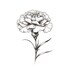 Birth Month Flower Coloring Pages, Birth Month Flowers, All Birth Month ...