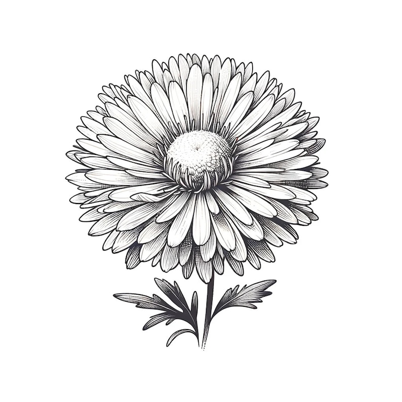 Birth Month Flower Coloring Pages, Birth Month Flowers, All Birth Month ...
