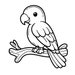 15 Parrot Coloring Pages, Cute Parrot Coloring, Parrot, Bird, Bird ...