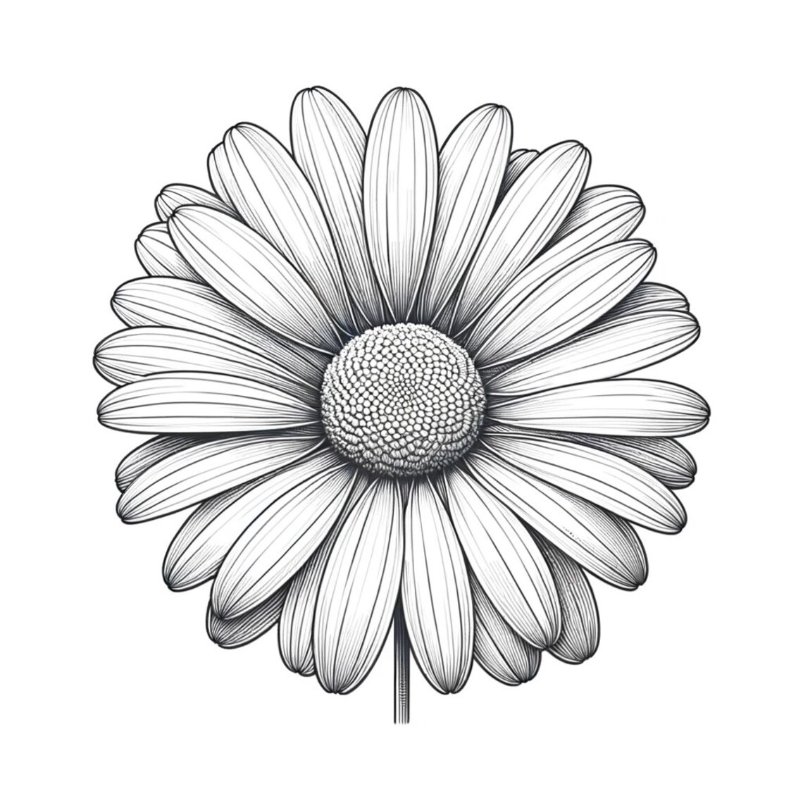 Birth Month Flower Coloring Pages, Birth Month Flowers, All Birth Month ...