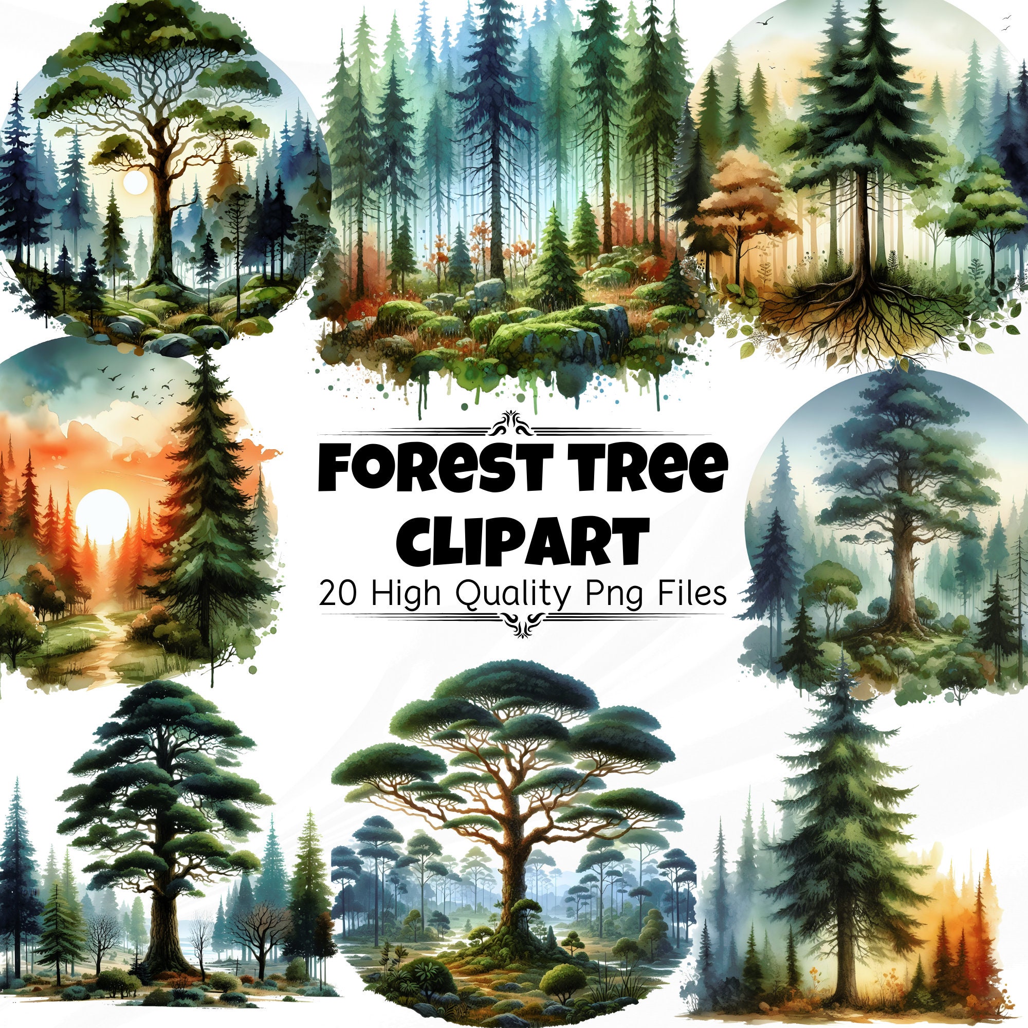 Forest Tree Clipart Set 300 DPI Transparent Background, Digital ...