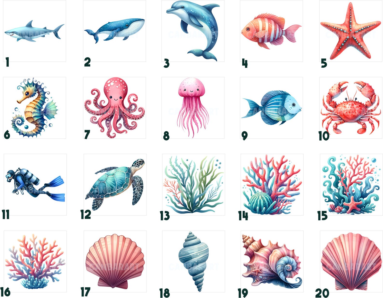 Undersea Clipart Ocean Clipart Underwater Animal Sea Creature Dolphin ...