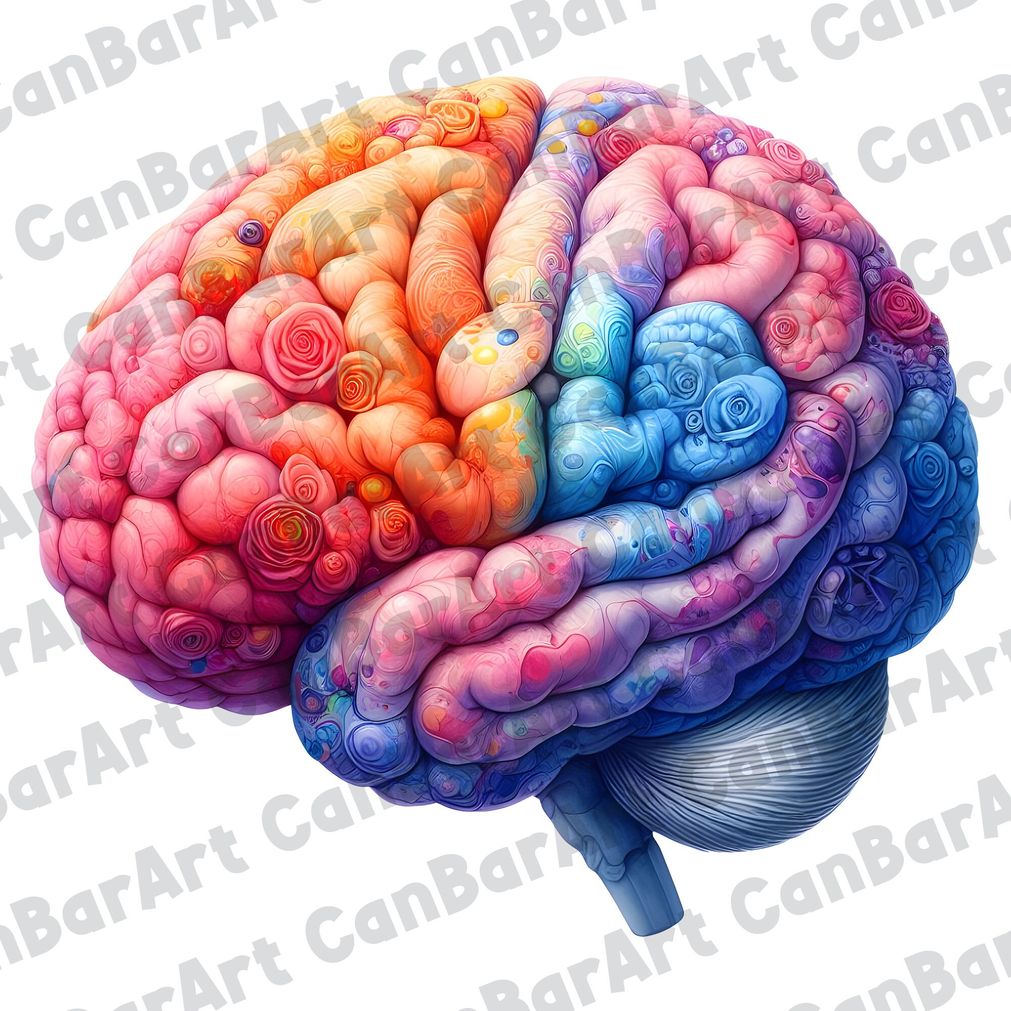 Watercolor Brain Clipart Set 20 Png High-quality Brain Illustration ...