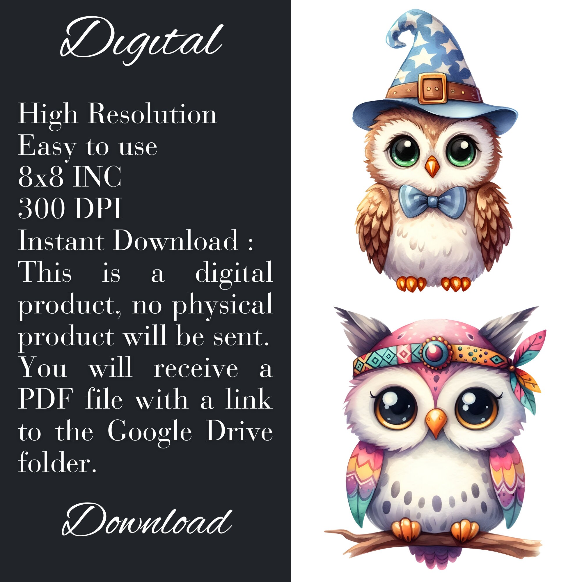 Cartoon Owl Clipart 300 DPI, High-resolution, Transparent Background ...