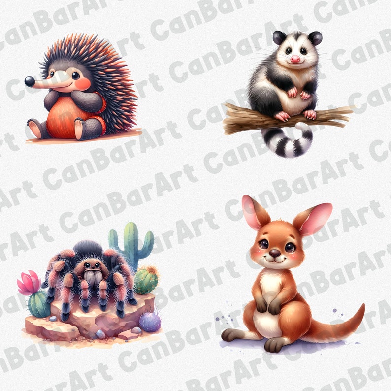 Australian Animal Clipart Set 20 High-quality PNG Graphics, Perfect for ...