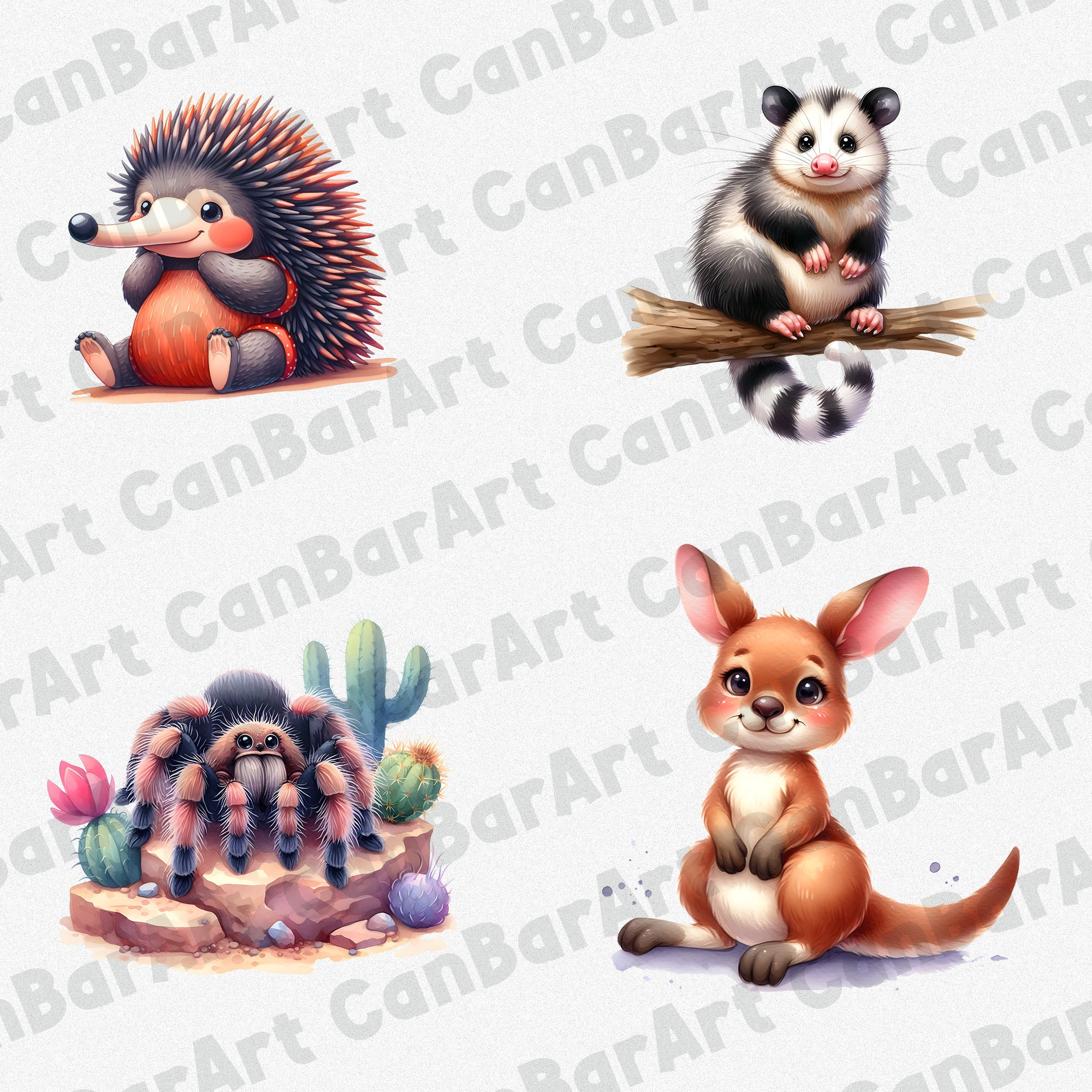 Australian Animal Clipart Set 20 High-quality PNG Graphics, Perfect for ...