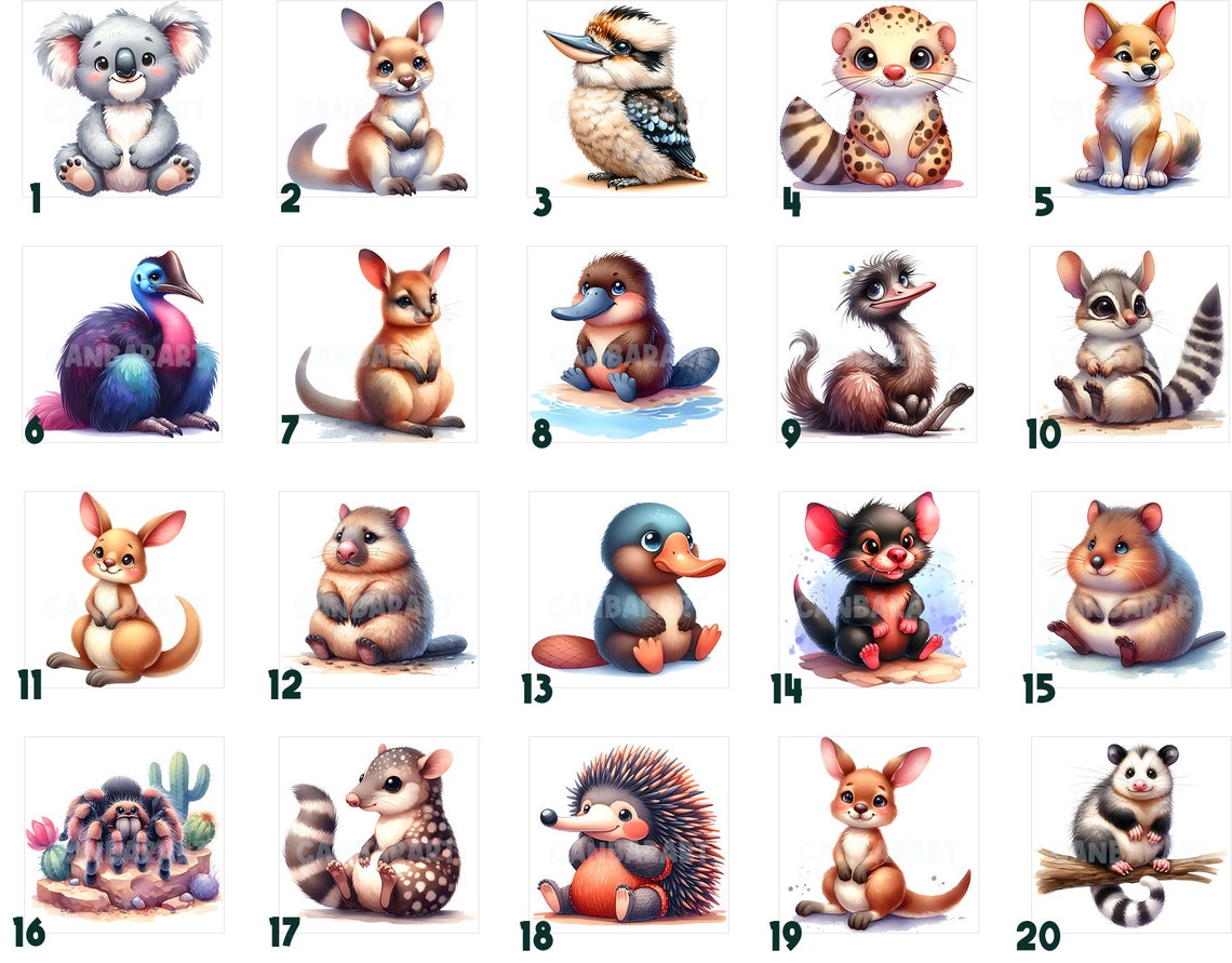 Australian Animal Clipart Set 20 High-quality PNG Graphics, Perfect for ...