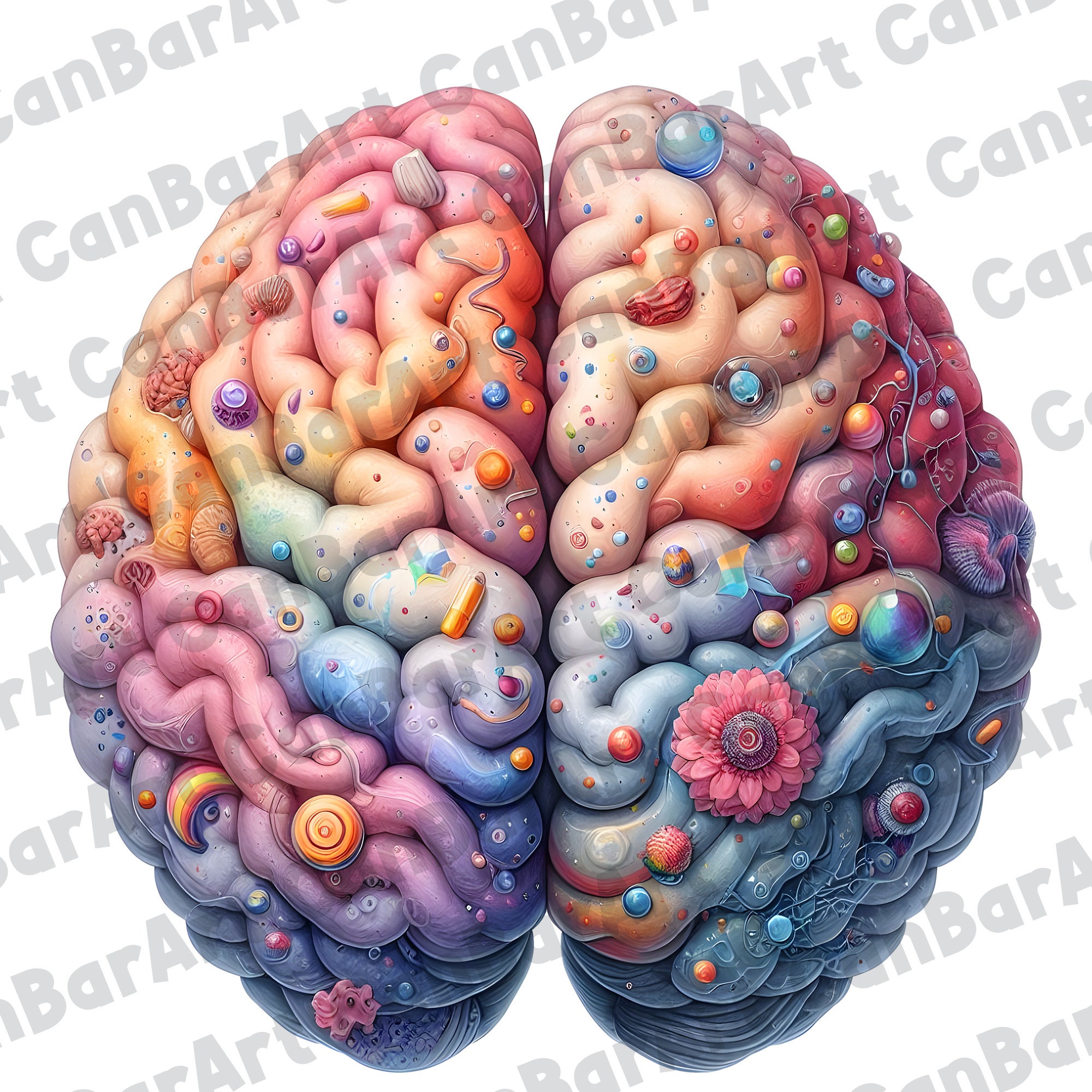 Watercolor Brain Clipart Set 20 Png High-quality Brain Illustration ...