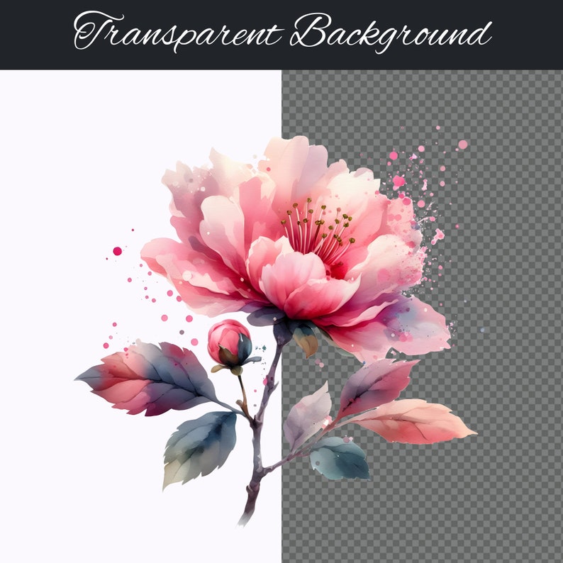 Watercolor Pink Flowers Clipart Set 300 DPI, High-resolution ...