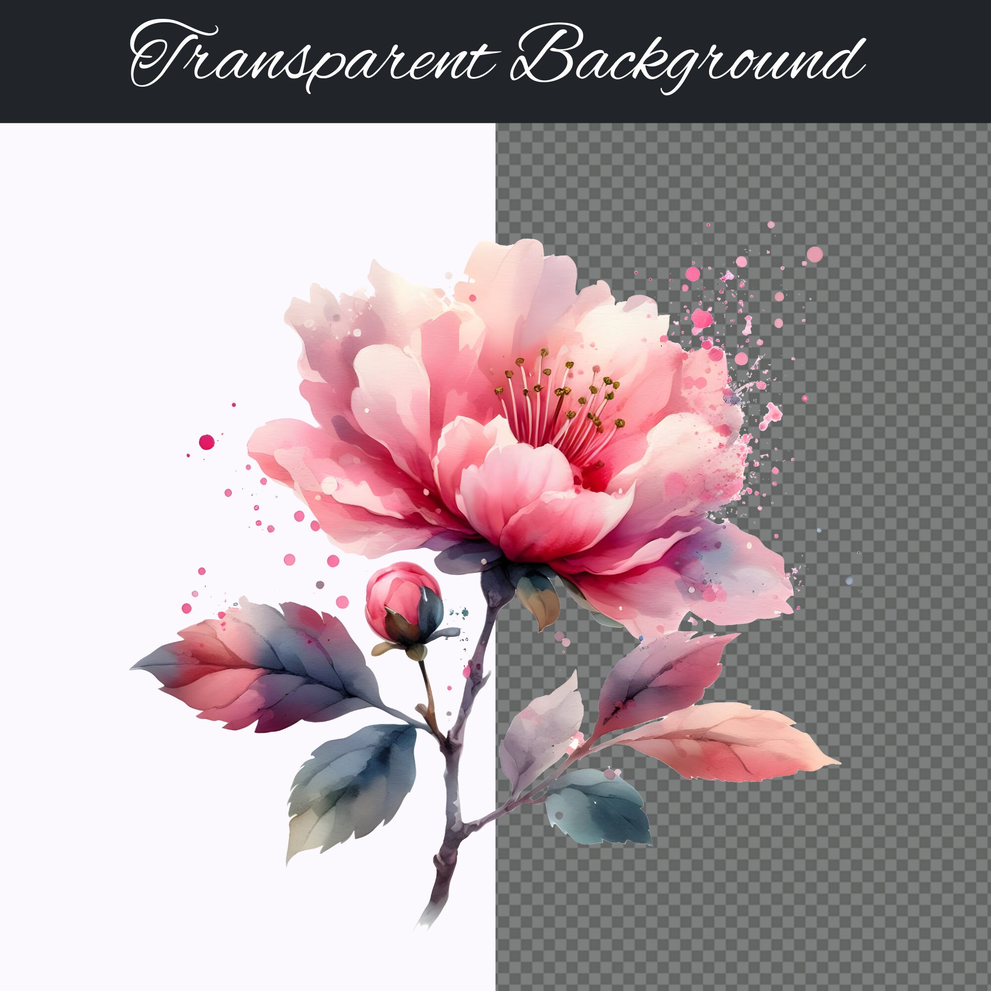 Watercolor Pink Flowers Clipart Set 300 DPI, High-resolution ...