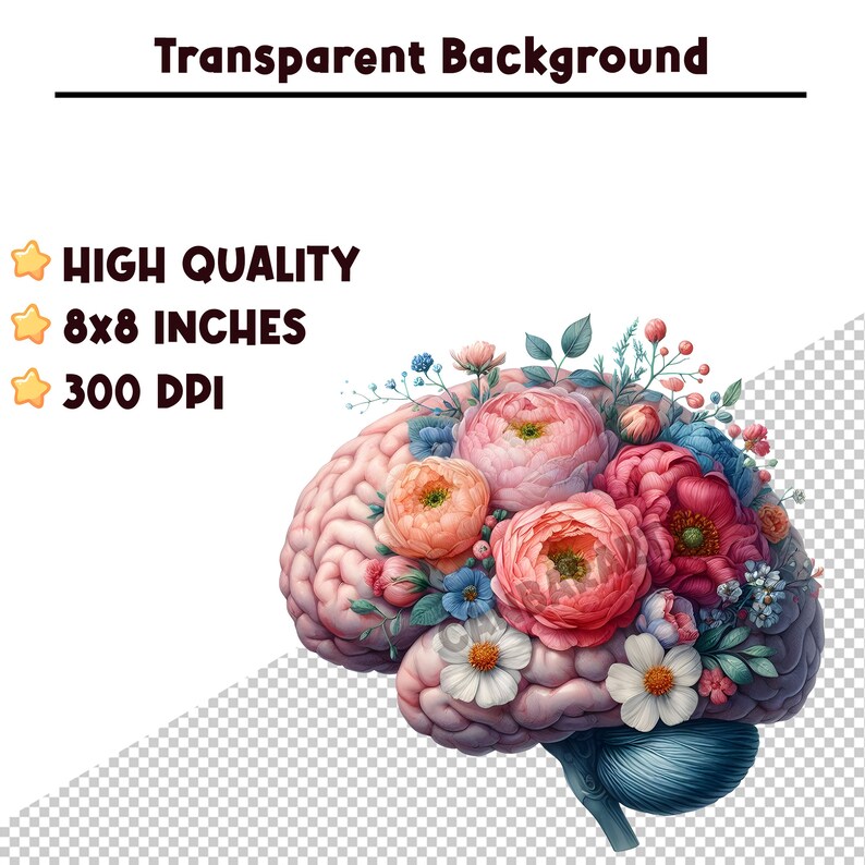 Watercolor Brain Clipart Set 20 Png High-quality Brain Illustration ...