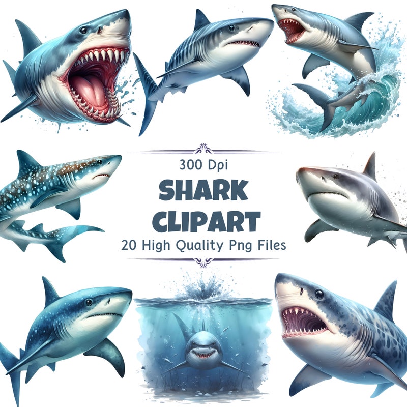 Shark Clipart - Etsy