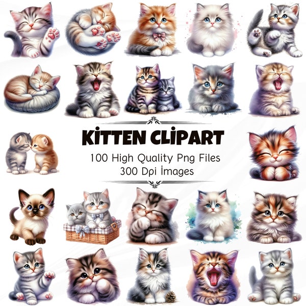 Kitten - Etsy