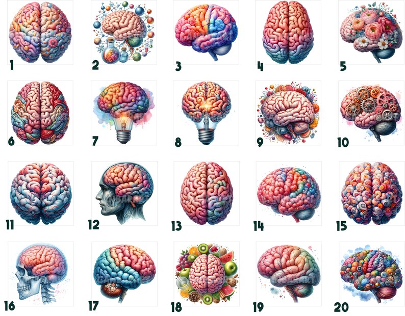 Watercolor Brain Clipart Set 20 Png High-quality Brain Illustration ...