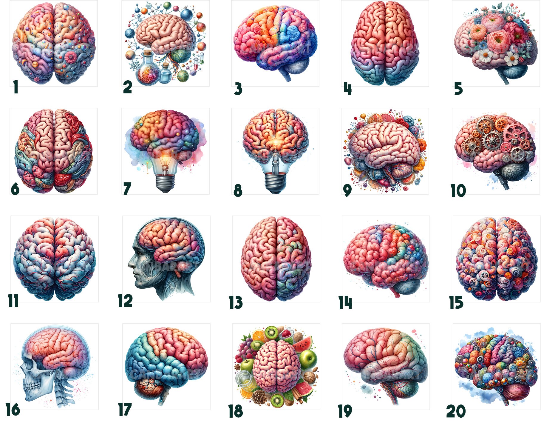 Watercolor Brain Clipart Set 20 Png High-quality Brain Illustration ...