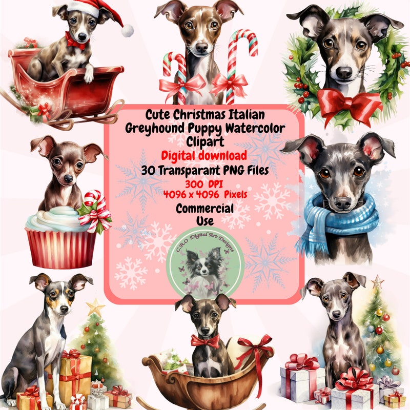 Greyhound Gifts - 60+ Gift Ideas for 2024