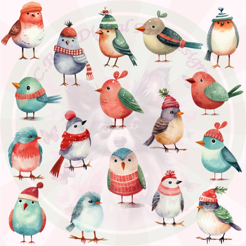 Cute Watercolor Winter Christmas Bird Clipart PNG Set of 35 Holiday ...