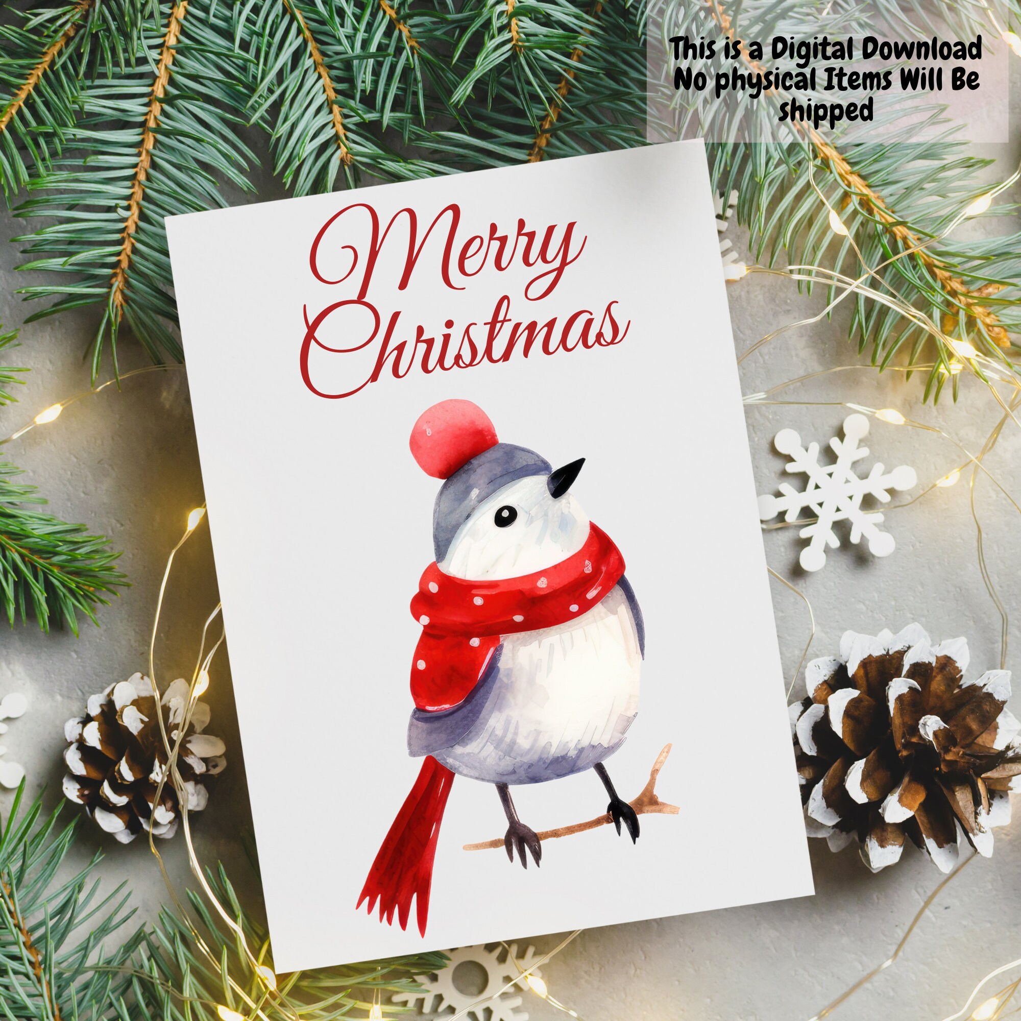 Cute Watercolor Winter Christmas Bird Clipart PNG Set of 35 Holiday ...