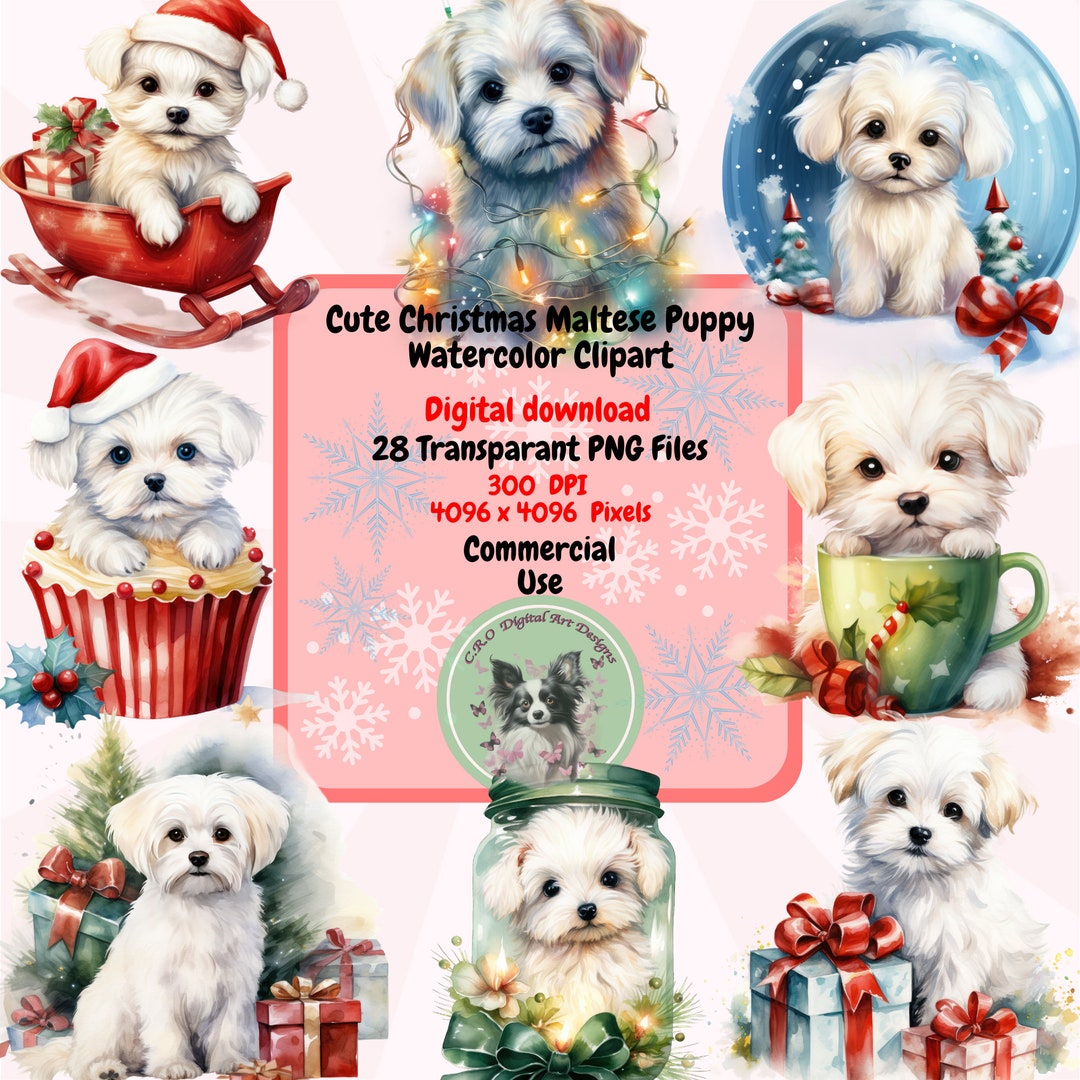 Cute Christmas Maltese Puppy Watercolor Clipart PNG Set, 28 Holiday ...