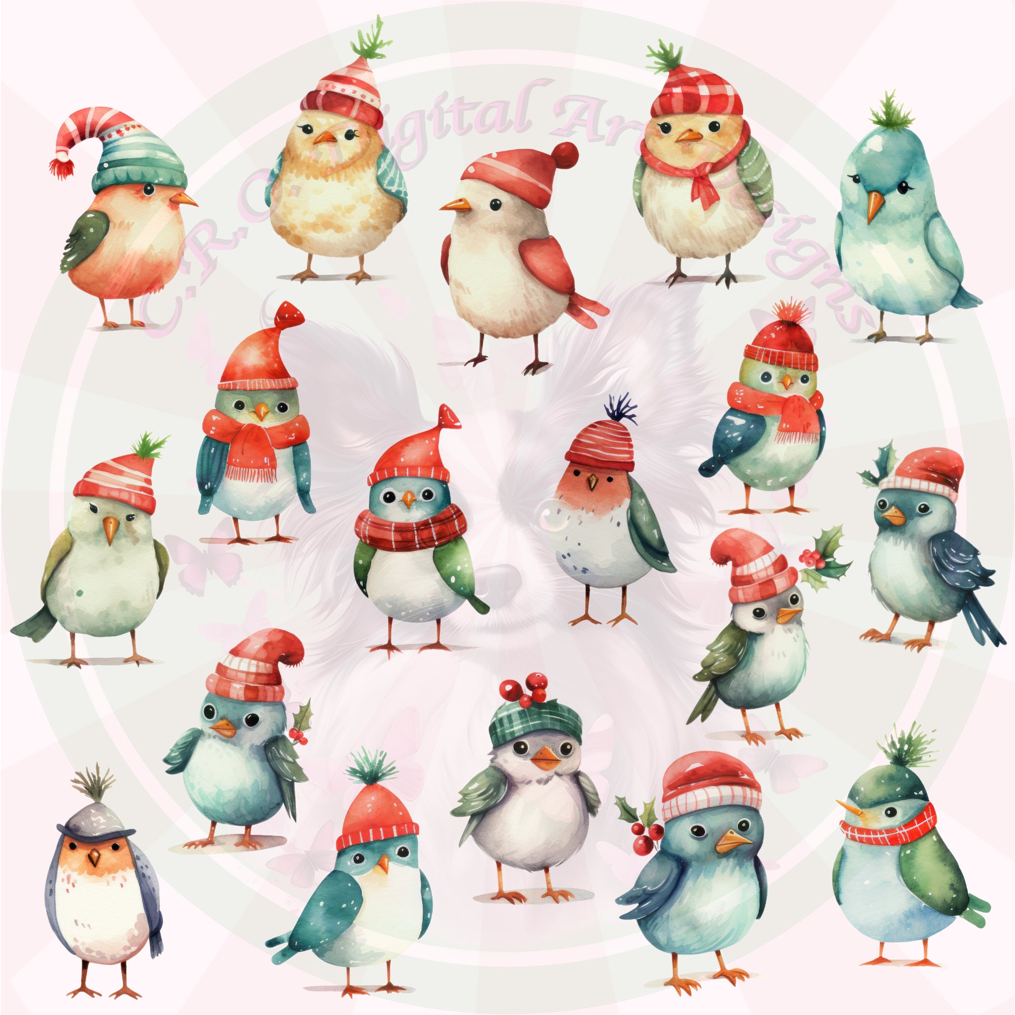 Cute Watercolor Winter Christmas Bird Clipart PNG Set of 35 Holiday ...
