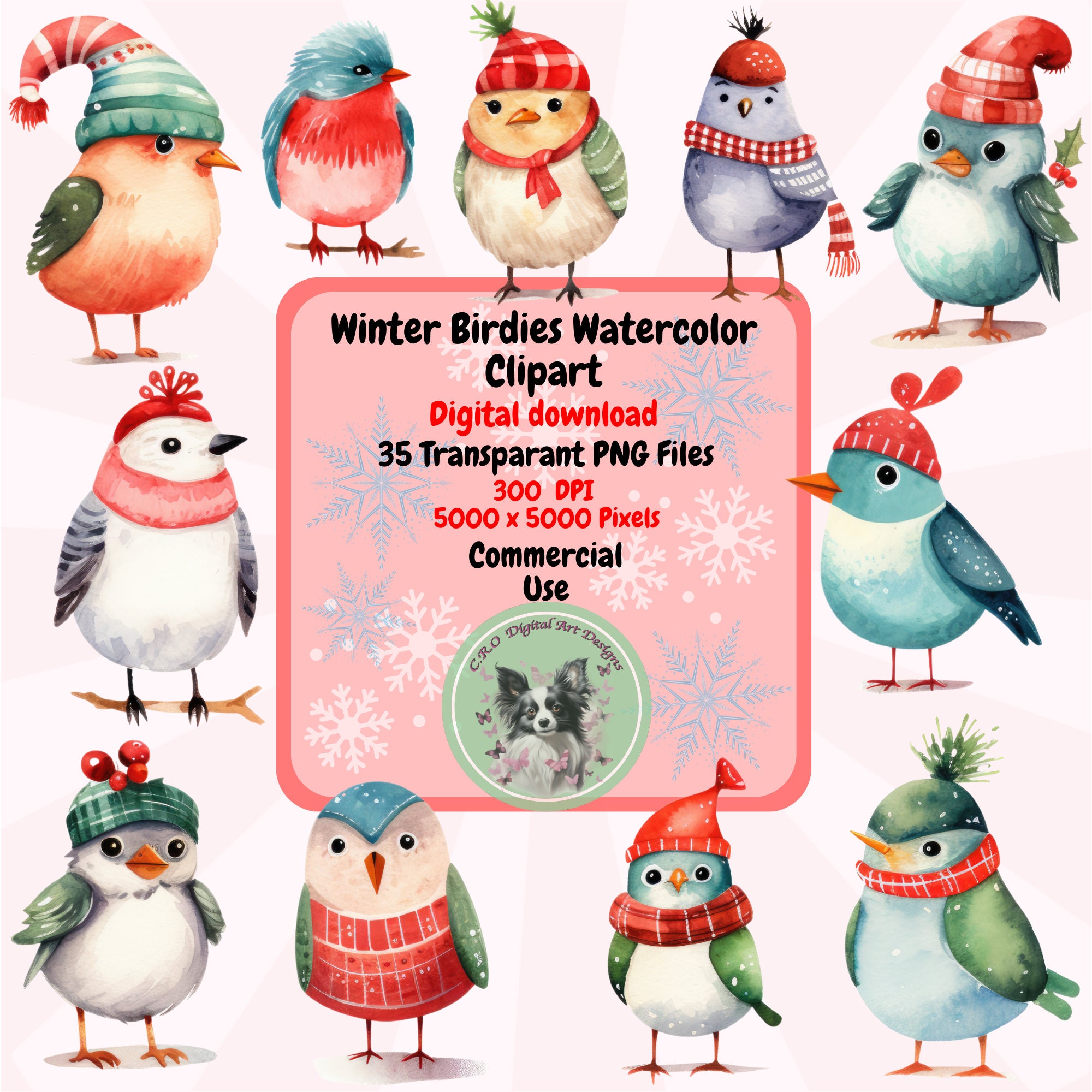 Cute Watercolor Winter Christmas Bird Clipart PNG Set of 35 Holiday ...