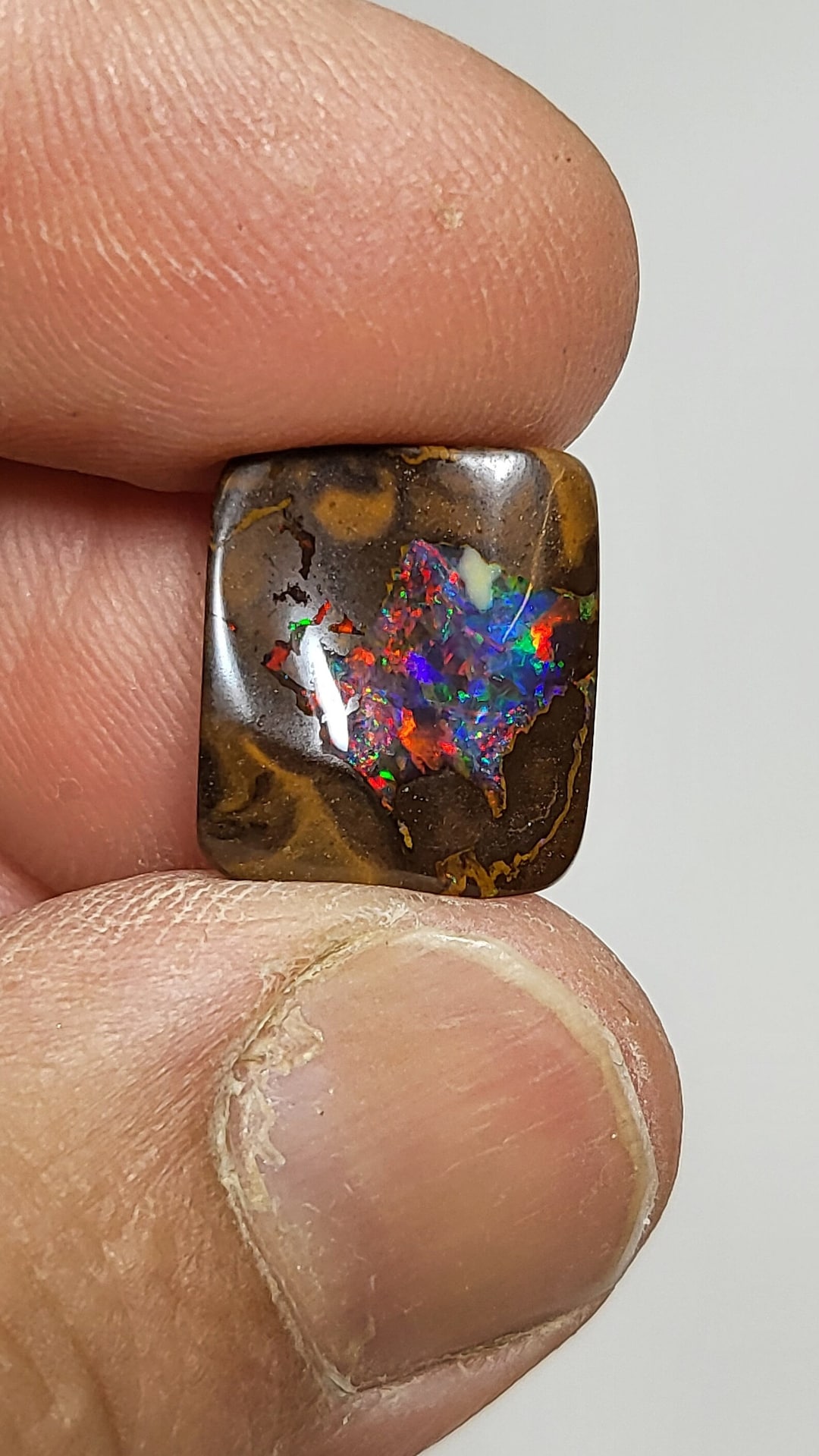 11.30ct. Boulder Opal. Edelstein Opal. Natürlicher Opal. 15x13x4mm ...