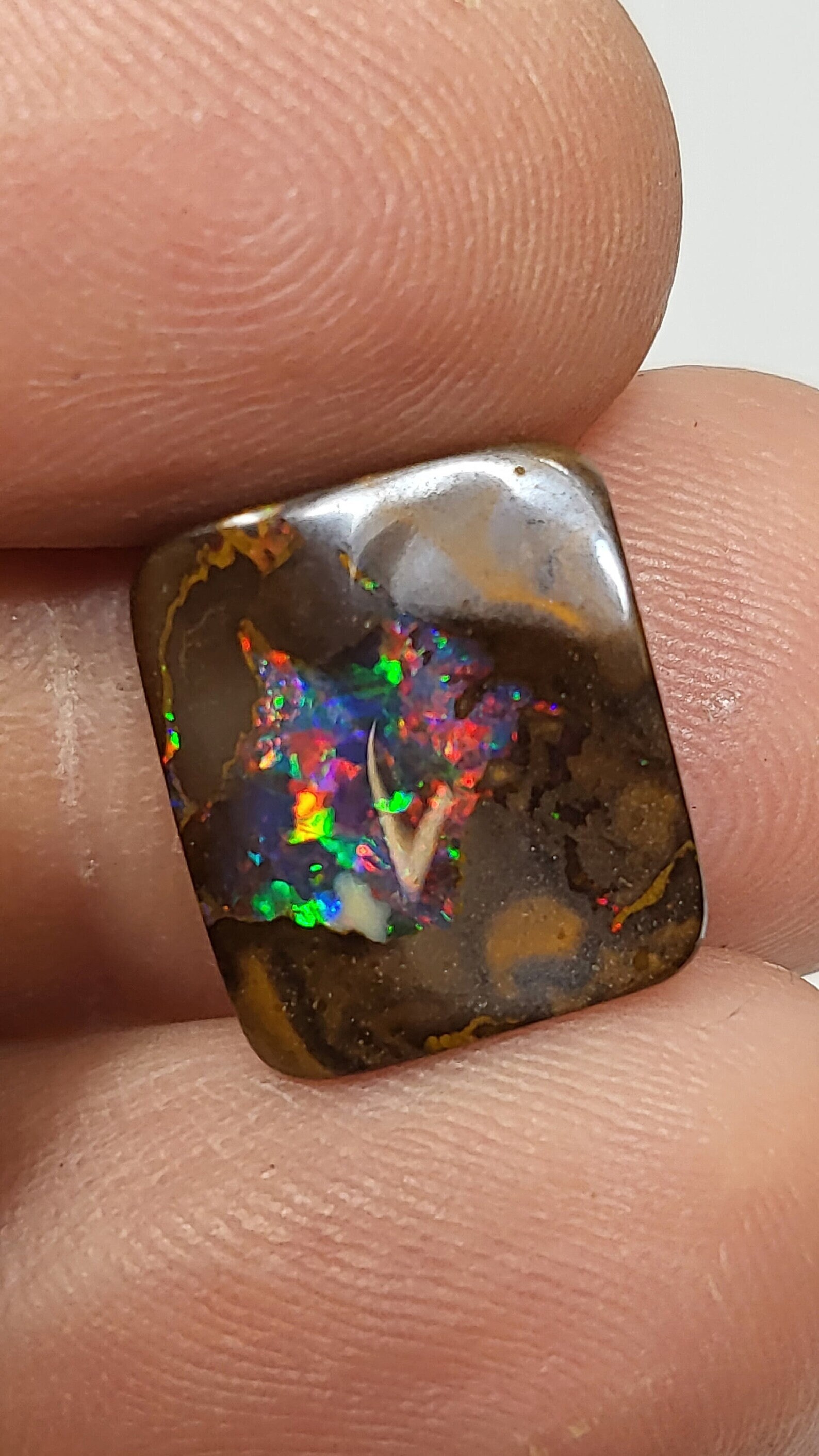 11.30ct. Boulder Opal. Edelstein Opal. Natürlicher Opal. 15x13x4mm ...