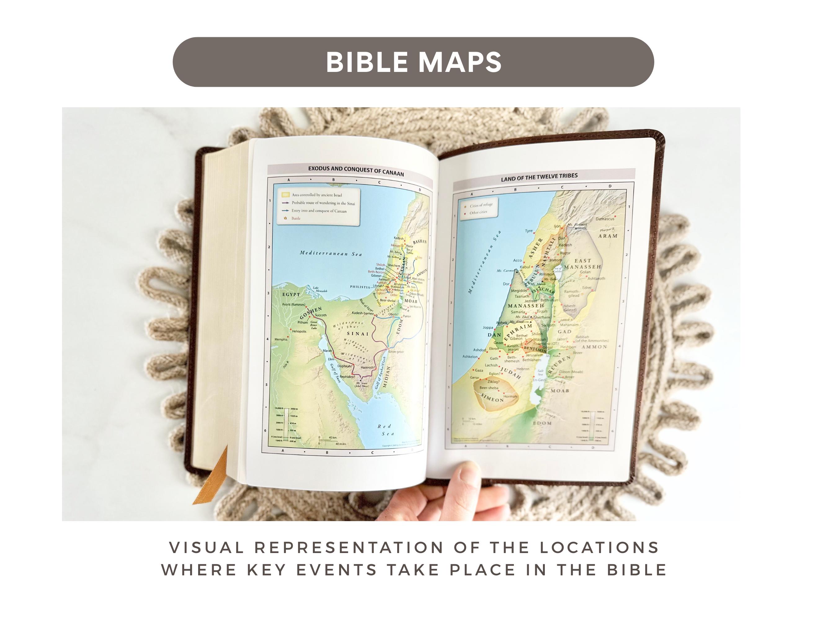 Custom NRSV Catholic Bible Study Engraved NRSV Custom Bible Leather ...