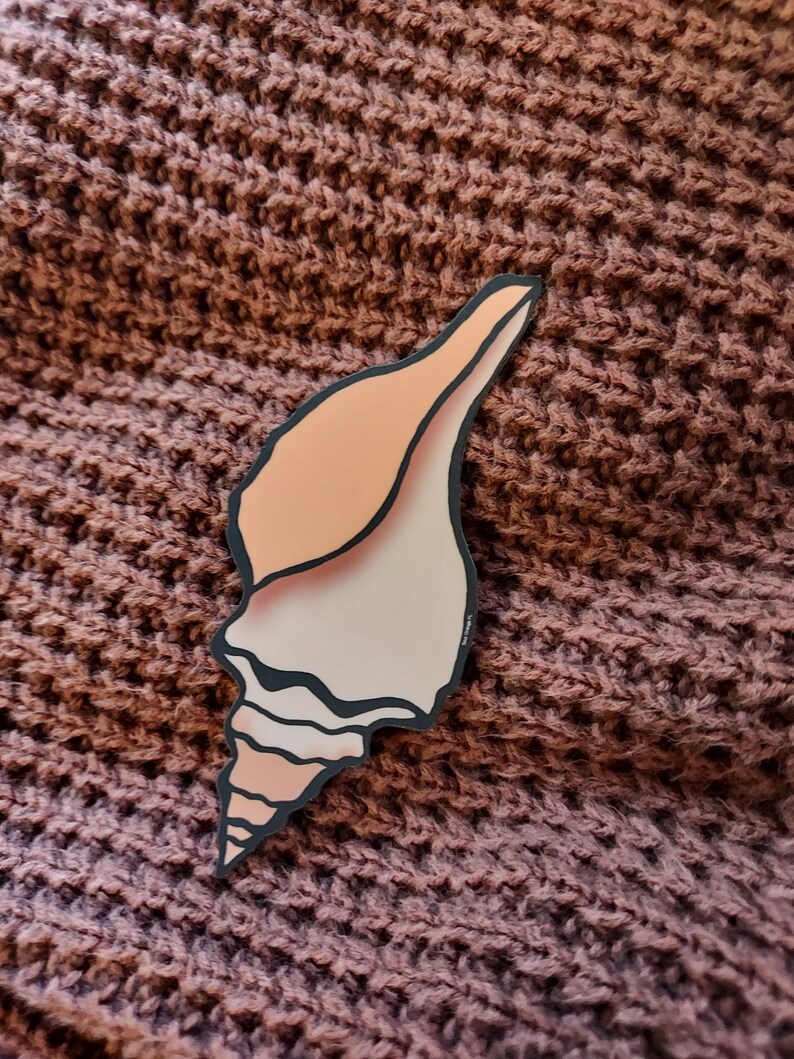 Florida Horse Conch Shell Sticker - Etsy