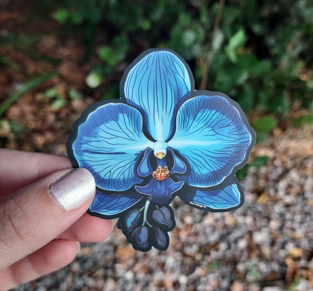 Blue Orchid Sticker - Etsy