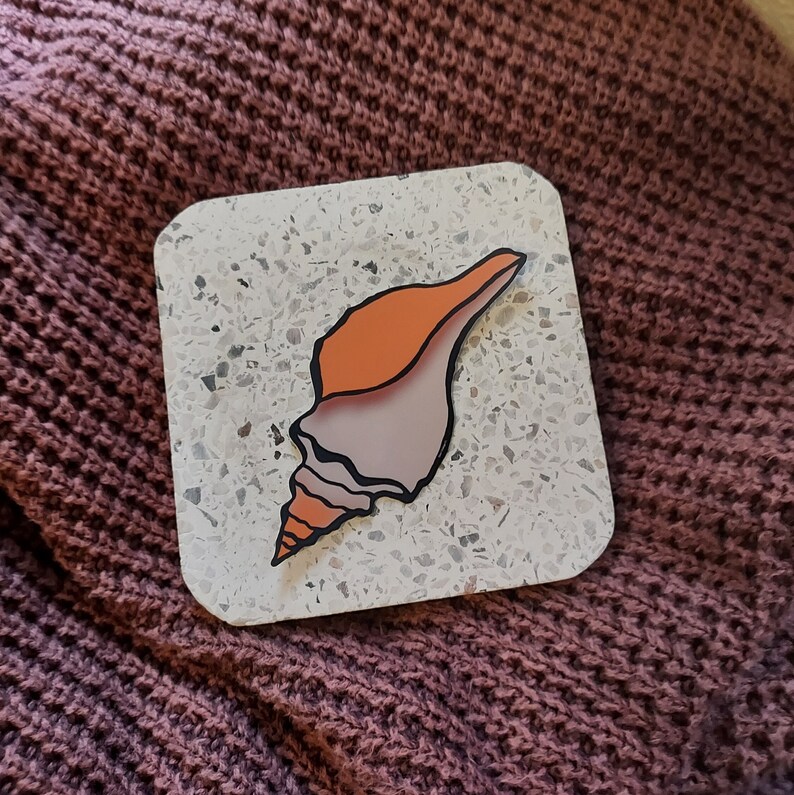 Florida Horse Conch Shell Sticker - Etsy