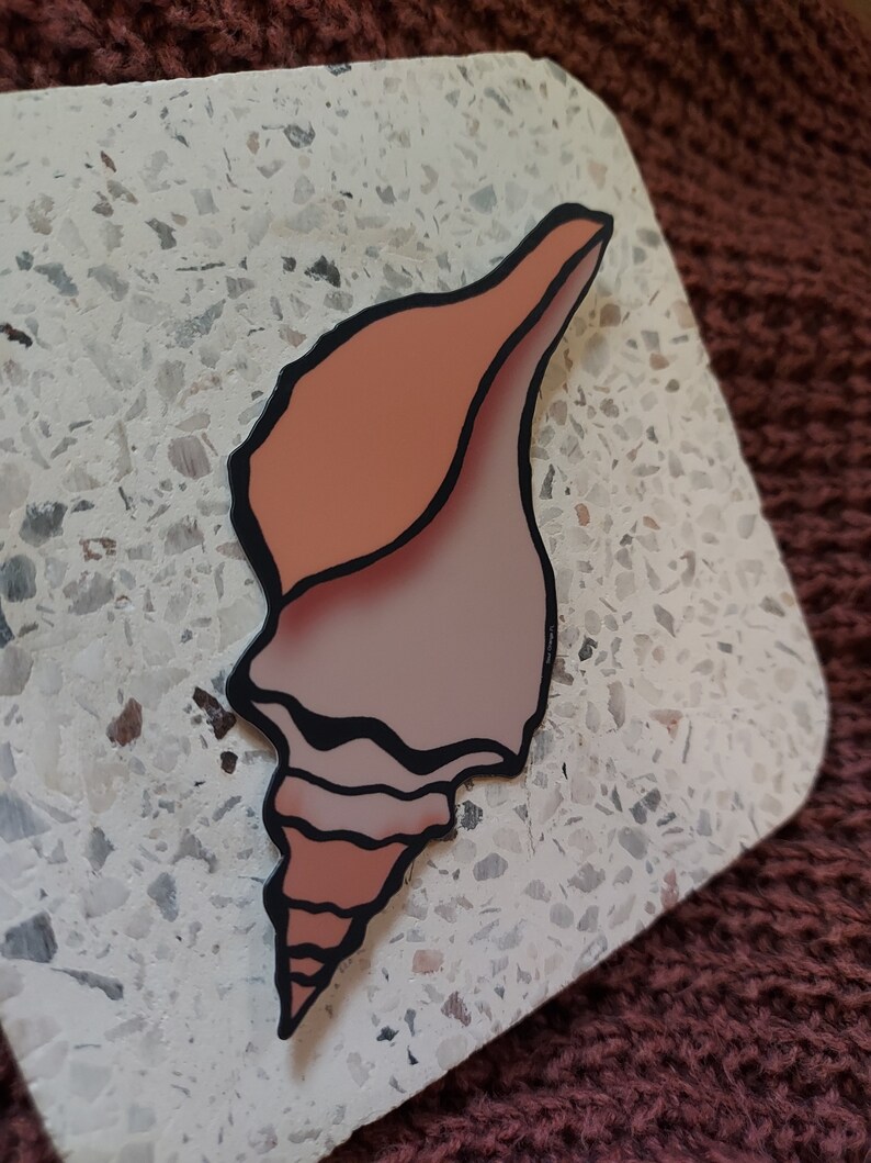 Florida Horse Conch Shell Sticker - Etsy