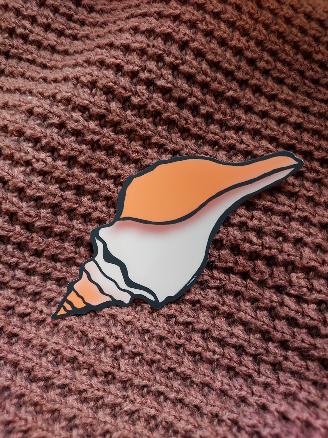 Florida Horse Conch Shell Sticker - Etsy