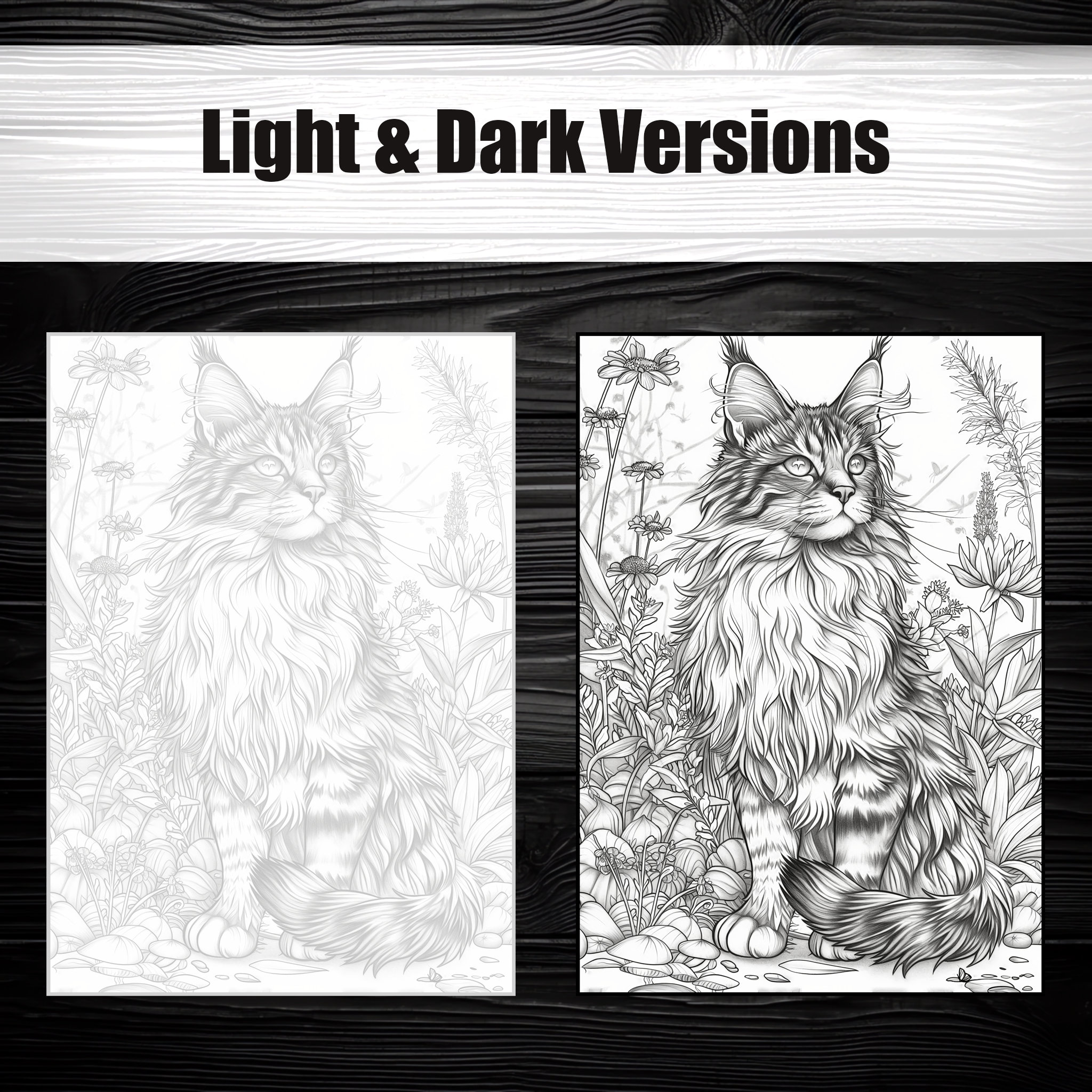 34 Wondrous Cats Colouring Pages Digital Printable A4 Colouring Sheets