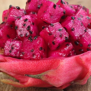 Homemade Dragon Fruit Sauce Exotic Pitaya Fruit Flavor, All-natural ...