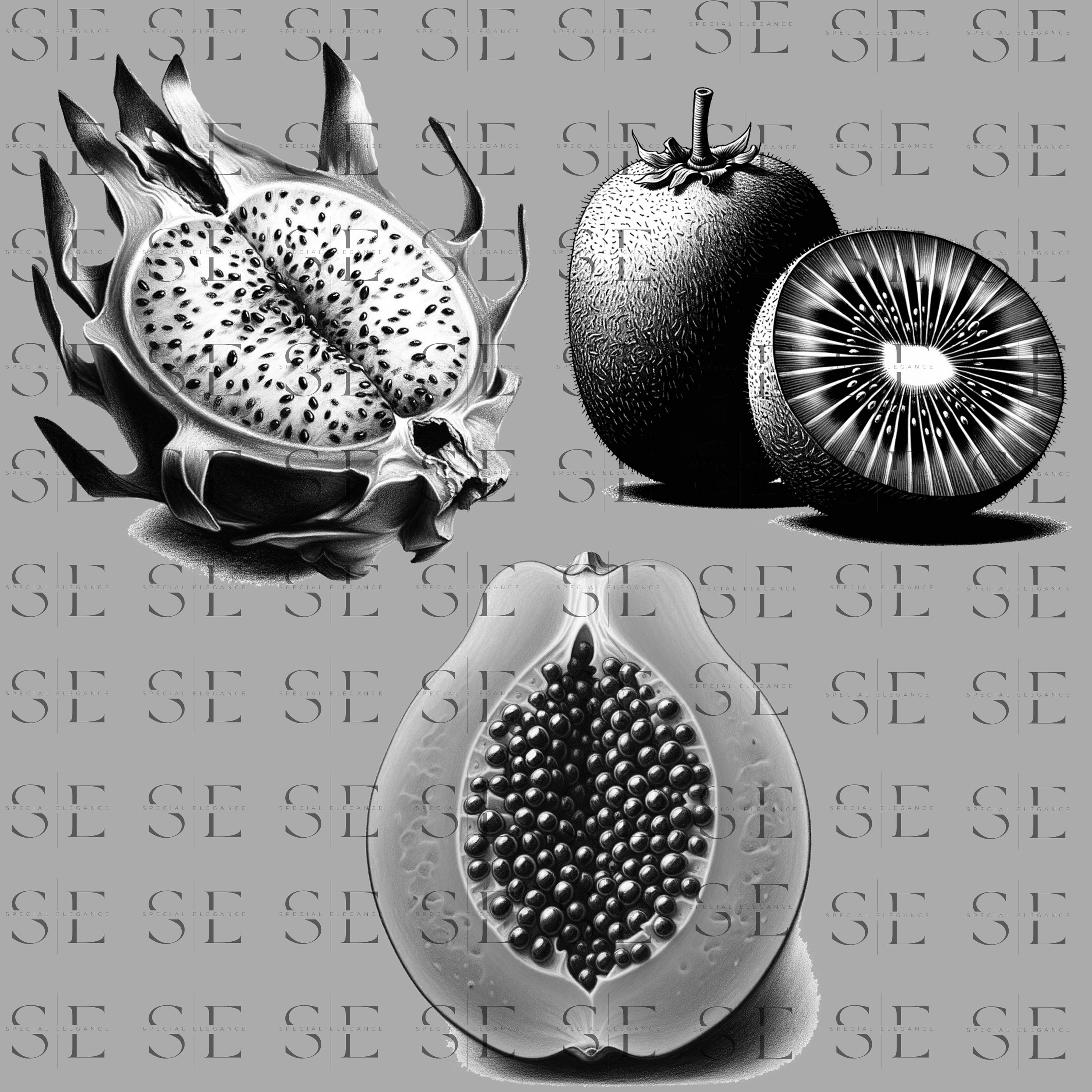 Charcoal Fruit Bundle PNG, Realistic Sketch Art, Instant Download ...