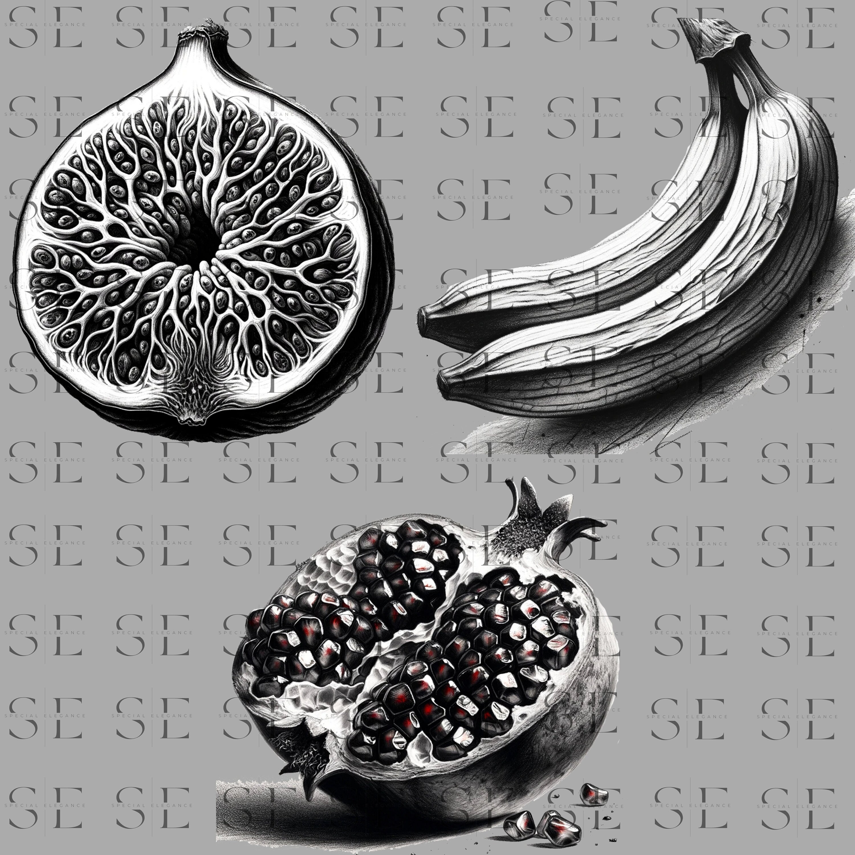 Charcoal Fruit Bundle PNG, Realistic Sketch Art, Instant Download ...