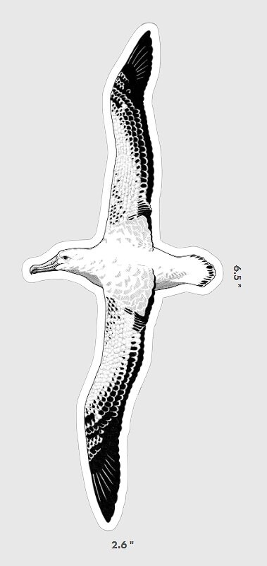 Albatross Sticker 6.5 - Etsy