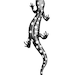 Spotted Salamander Sticker (6") - Etsy