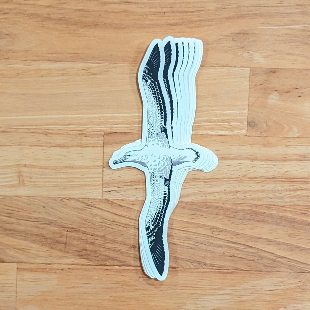 Albatross Sticker 6.5 - Etsy